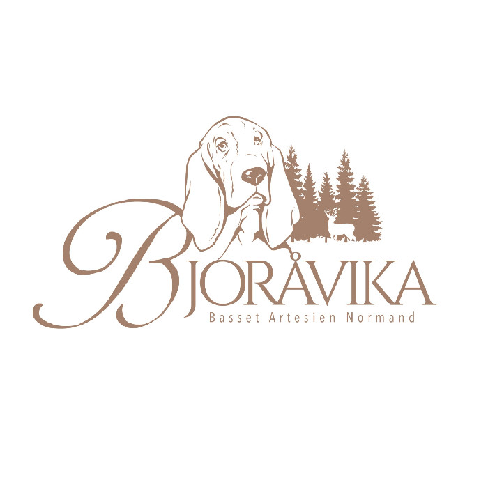 Oppdrettere BAN :: NBaK - Norsk Bassetklubb